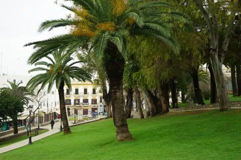 Quartiers de Tanger à visiter : Où aller